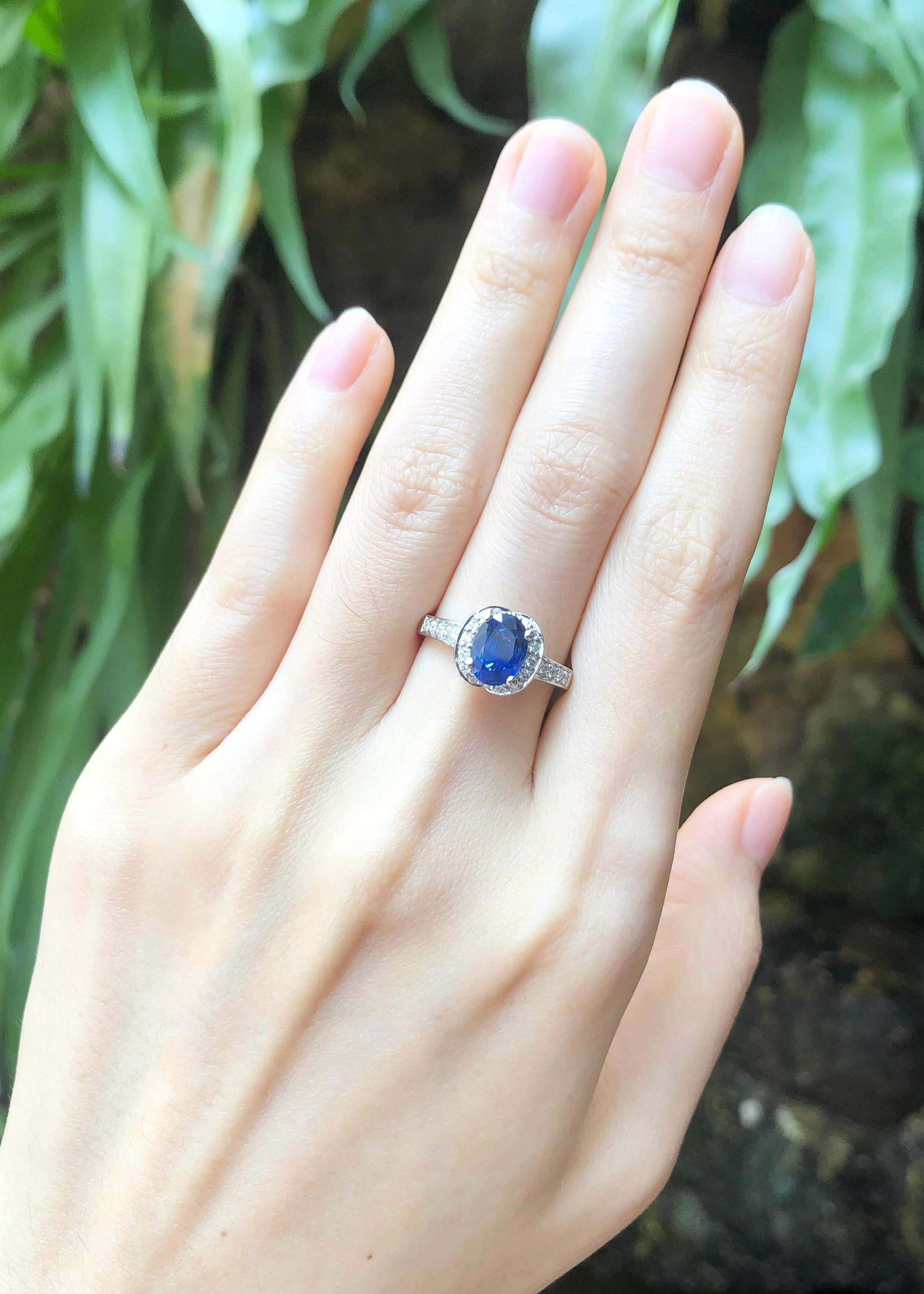 S.J. International – SJ. International