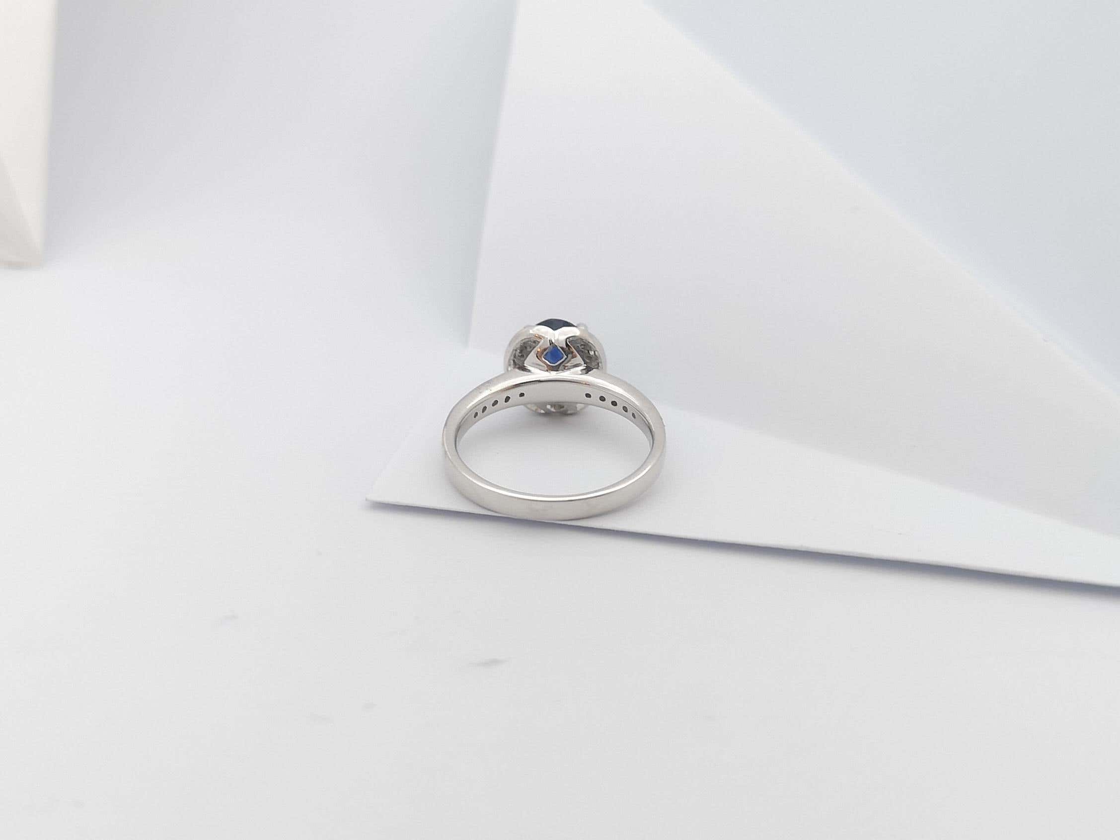 S.J. International – SJ. International